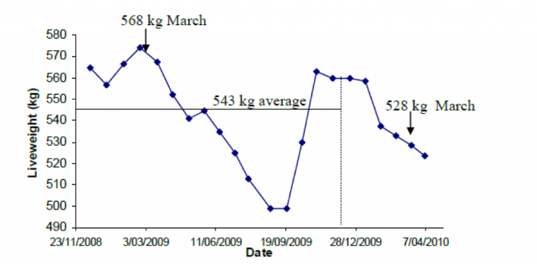 Inventory practice: Improving estimates of cattle weights in New ...